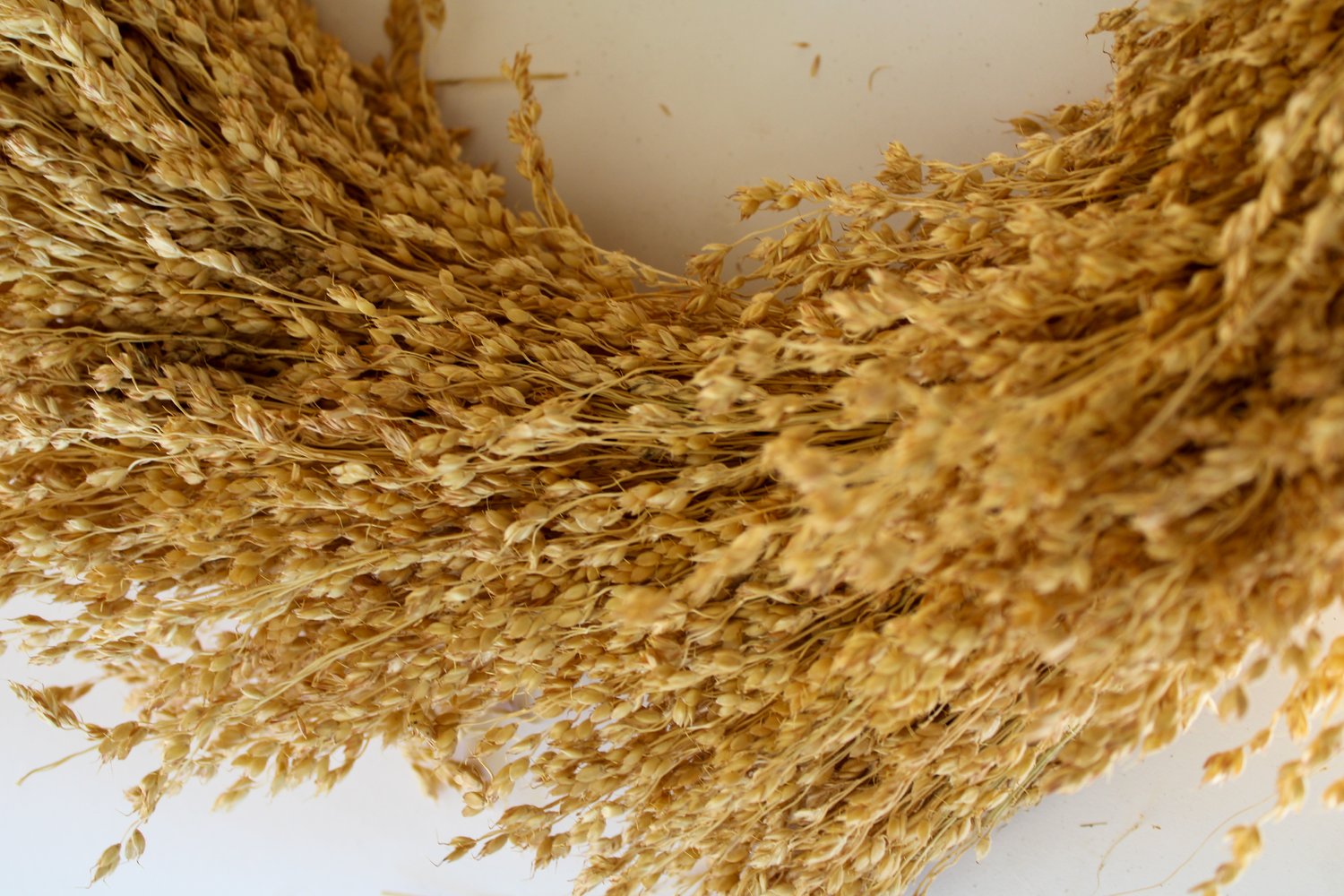 Wreath Making Kit – Sunhouse Craft